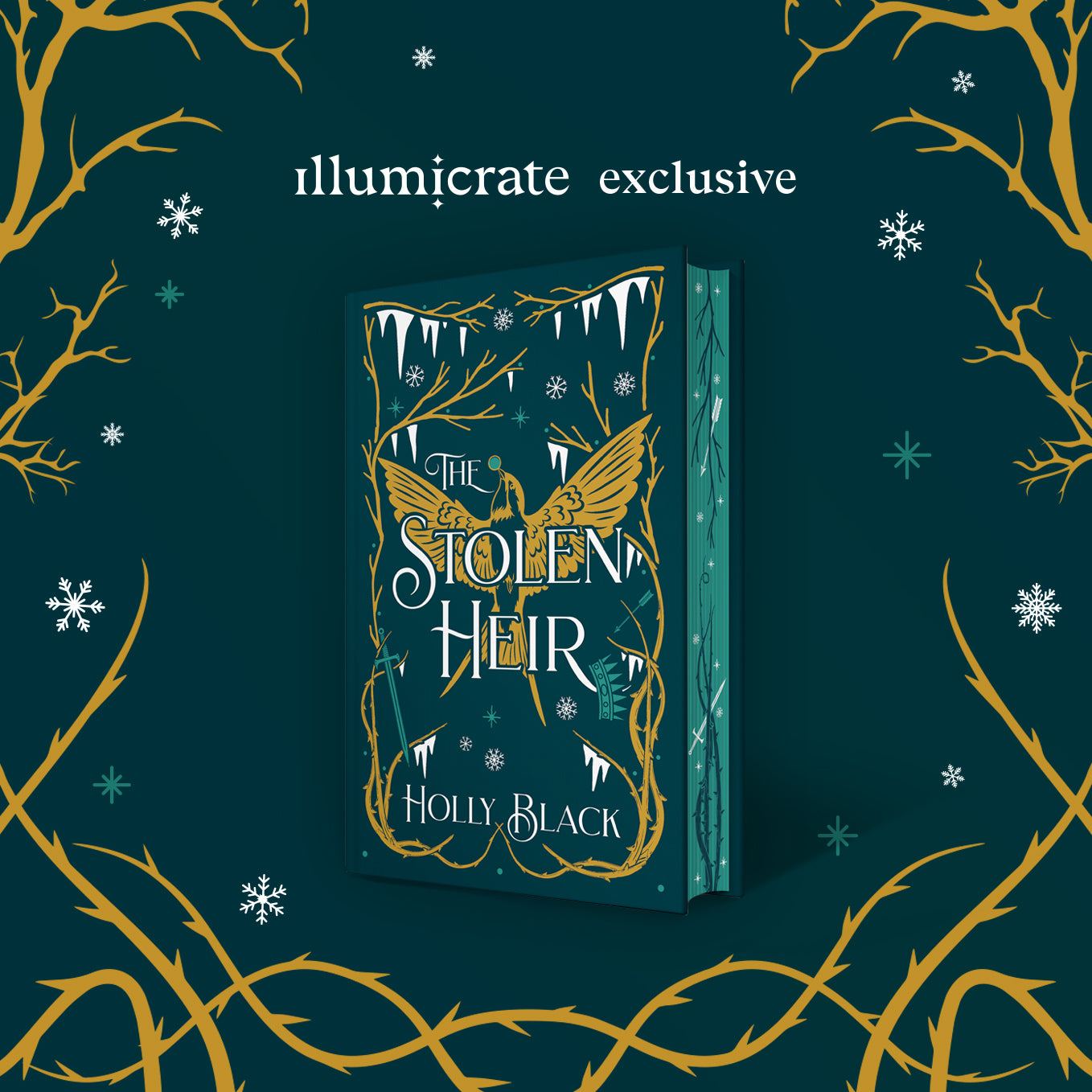 Illumicrate Exclusive: The Stolen Heir by Holly Black – Illumicrate US