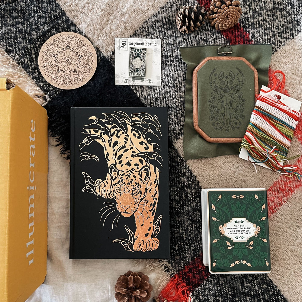 The Prince Without Sorrow by Maithree Wijesekara full box (Illumicrate – Illumicrate US