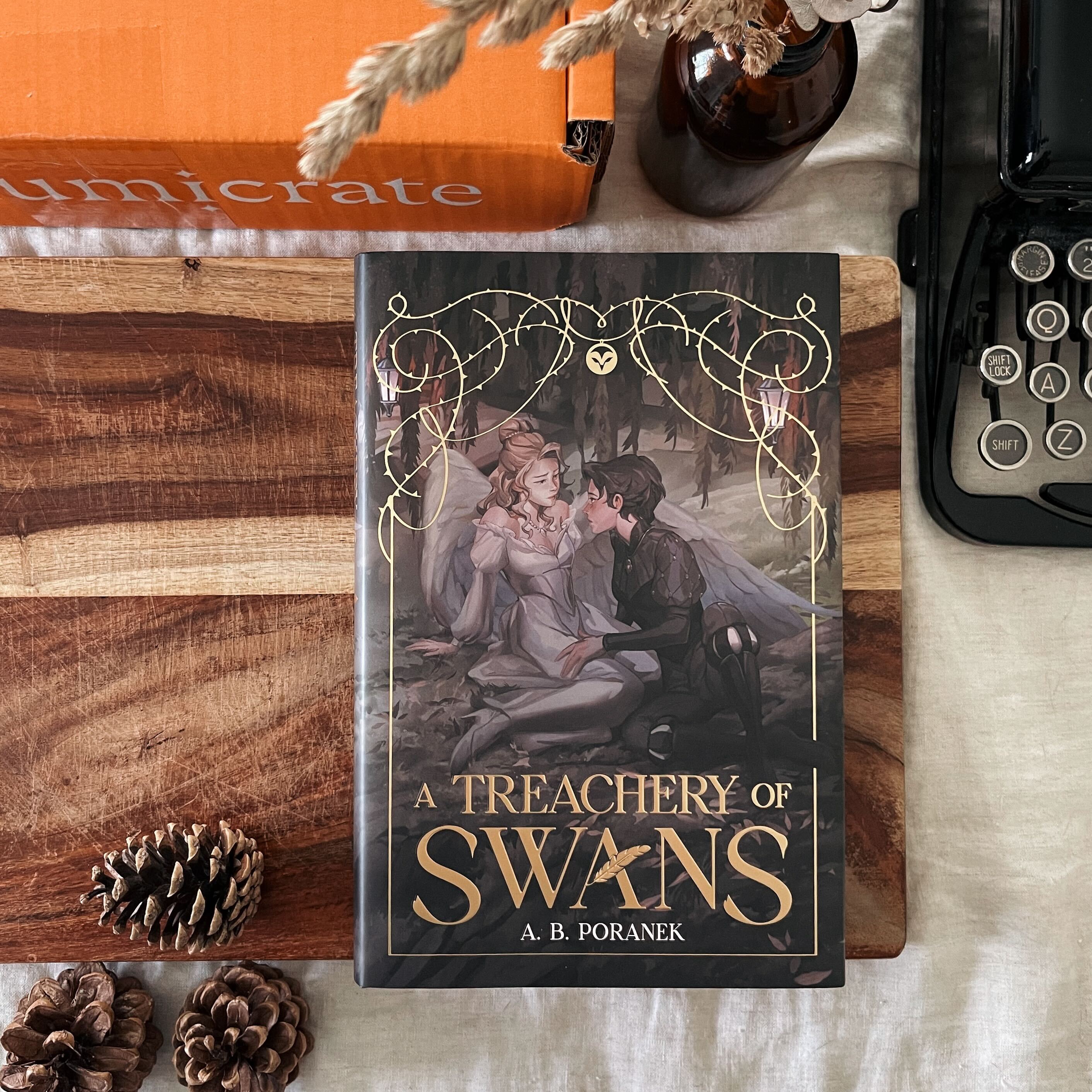 A Treachery of Swans by A.B. Poranek book only – Illumicrate US