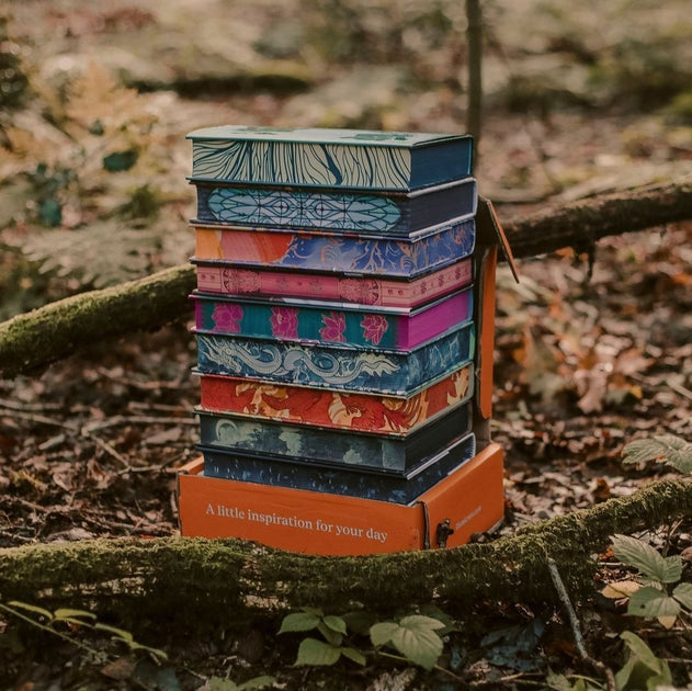 Introducing Evernight by Illumicrate – Illumicrate US